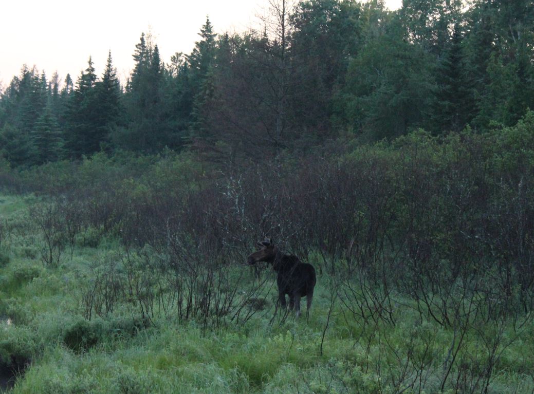 Baxter State Park Guide