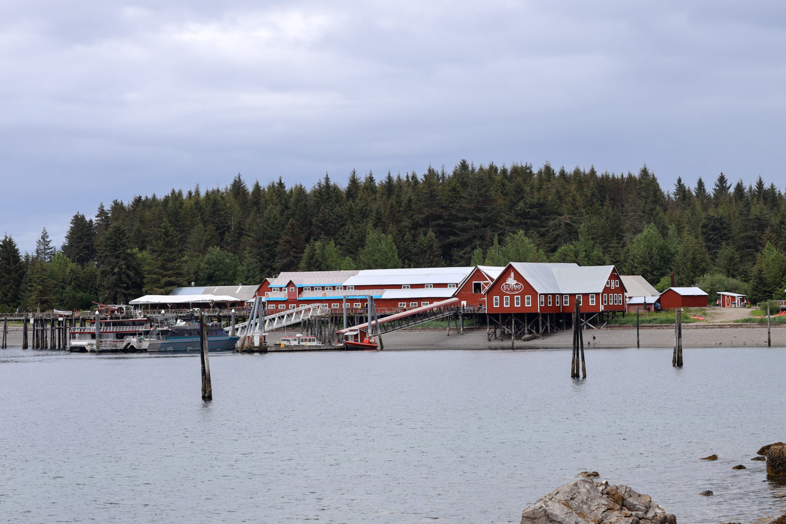 Icy Strait Point Cruise Port Guide